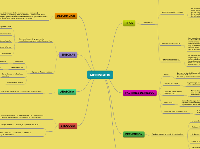 MENINGITIS - Mind Map